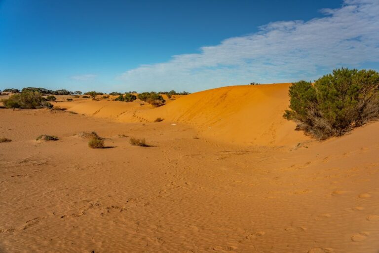 Why visit Port Stephens in Autumn » The Retreat Port Stephens